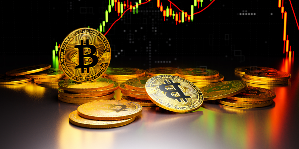 How to Build a Diversified Crypto Portfolio in 2025 - My Scale in Blogs